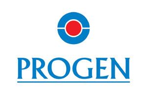 BGR Energy Systems Limited