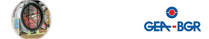 BGR Energy Systems Limited